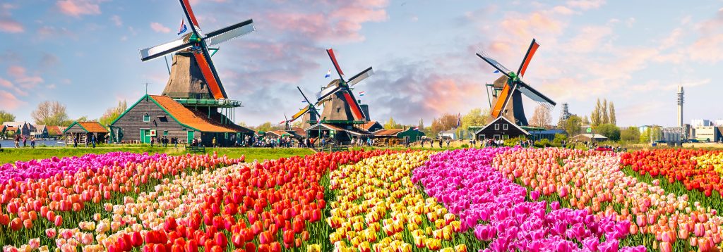 Keukenhof Tickets 2023: Secure yours now & discover the tulip gardens?